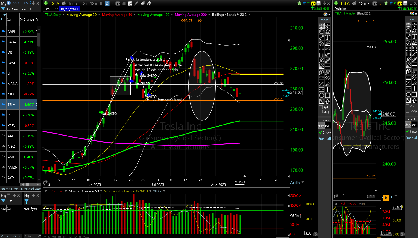TC2000 Shared Layout from Guillermo (LIAM4444)