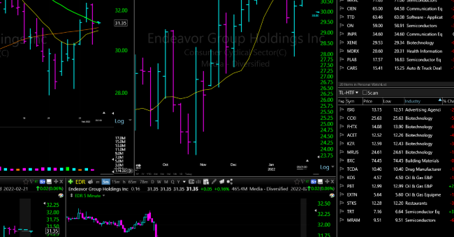 TC2000 Shared Layout from Ameet (RayTL)