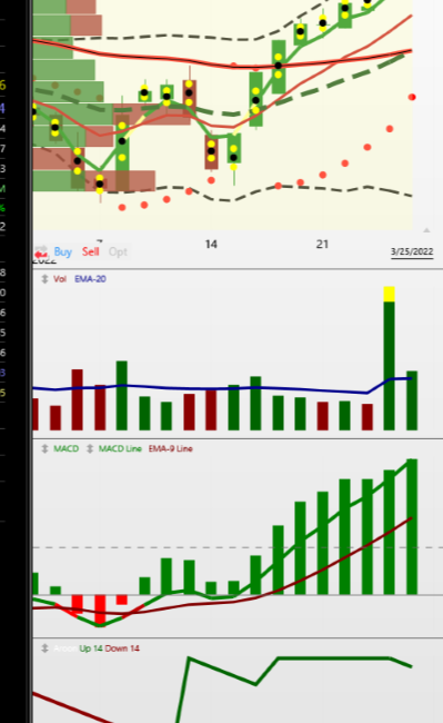 TC2000 Shared Layout from Jesus Navarrete